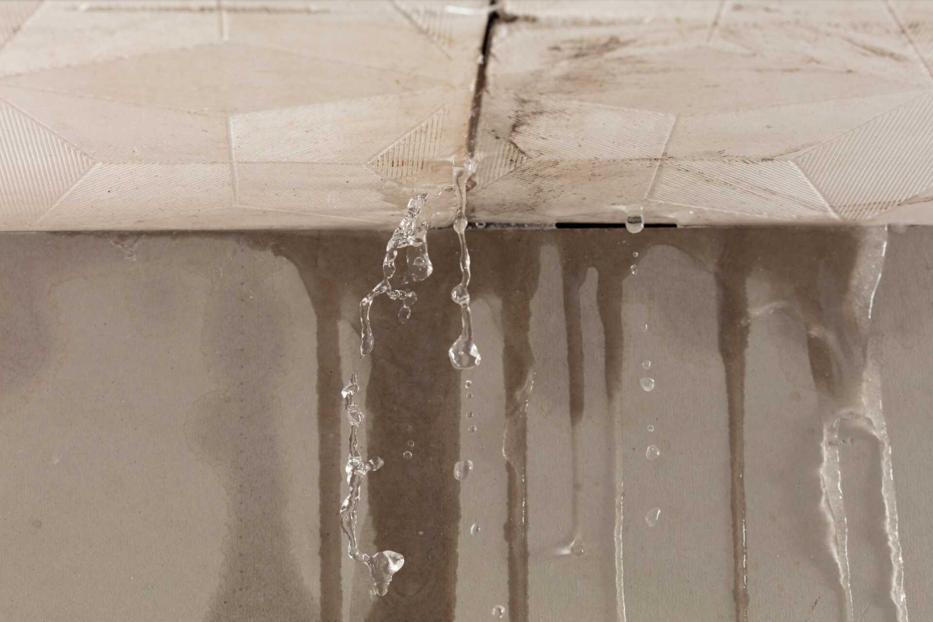 Unlock Secret Techniques for Emergency Water Restoration | GenCon ...